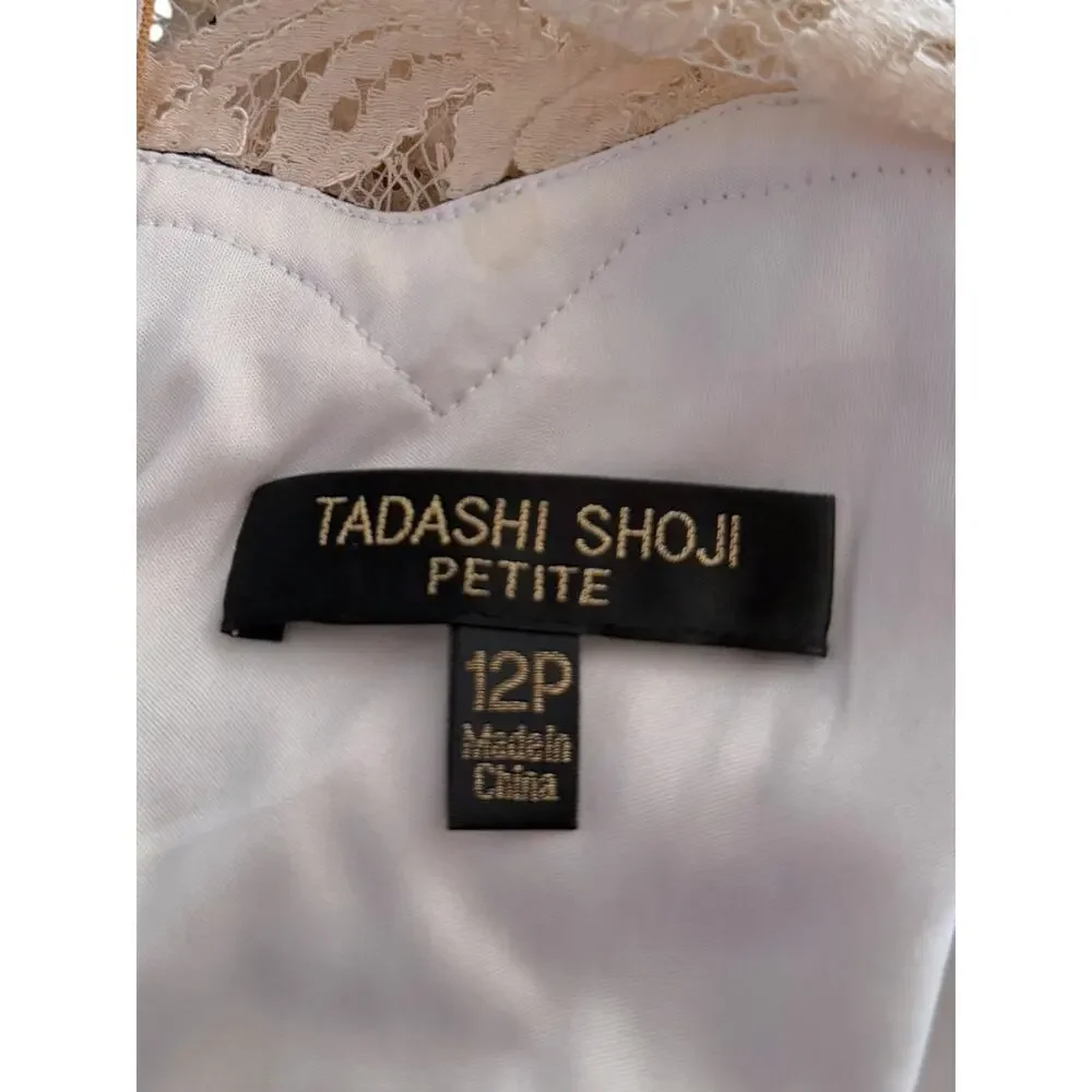 Tadashi Shoji | Dresses | Tadashi Shoji Illusion Lace Sheath Midi Dress ...